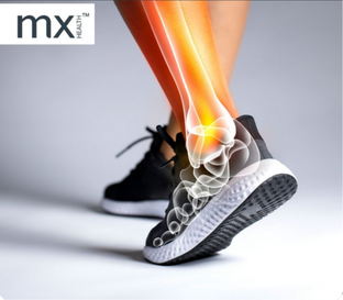 MX Health Premium Ankle Support - Universal