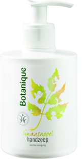 Botanique Sinaasappel Handzeep (300ml) | De Online Drogist